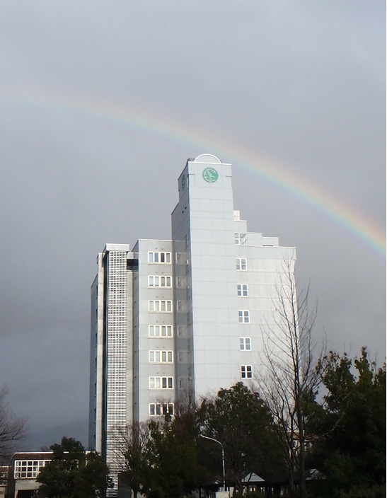 2023年度福井大会トップページ – 進化経済学会